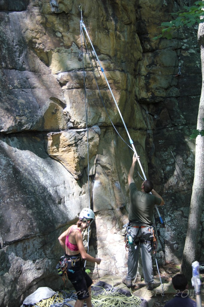 poeti Follia tristezza trango squid stick clip esposizione mal di testa ...